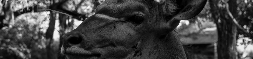 Western Cape – PMSA