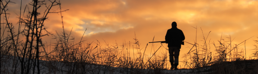 Professional night hunting – PMSA