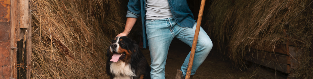 Shepherding – PMSA